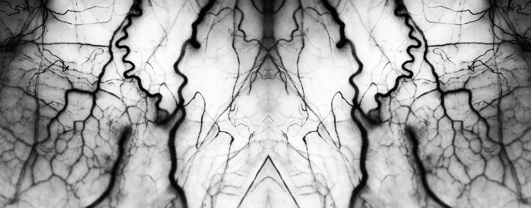 Interactive – ELECTRIC HAZE by Laurent Schmid